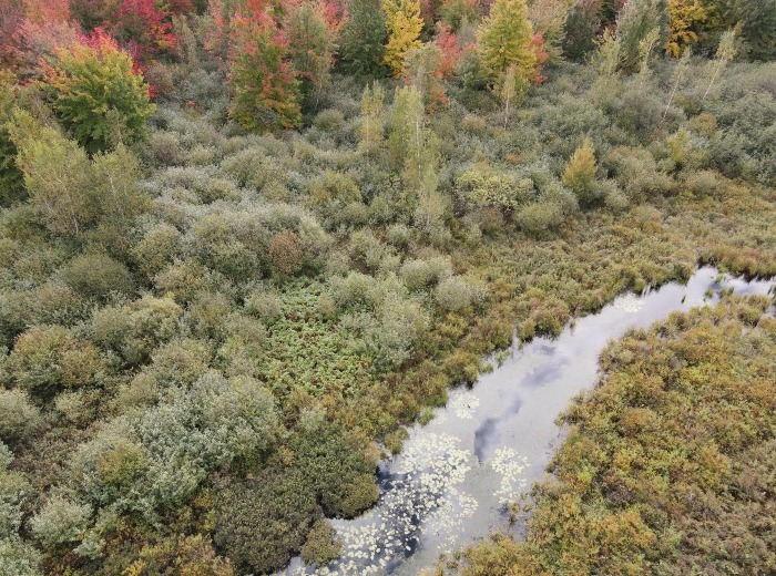 Waterloo s’appuie sur la Fondation SÉTHY pour guider sa stratégie de ...