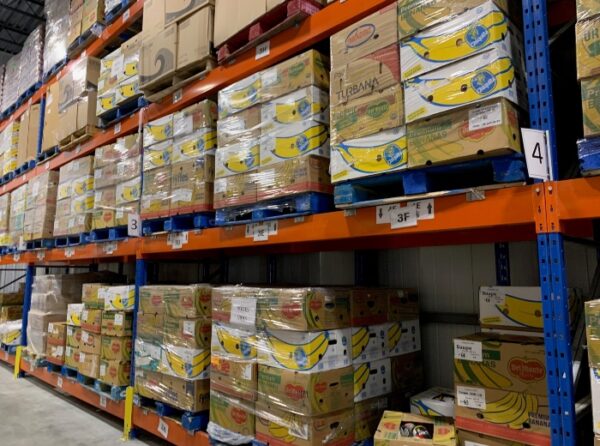 Bilan-Faim 2024 : Une augmentation de 25,9% des dépannages alimentaires ...