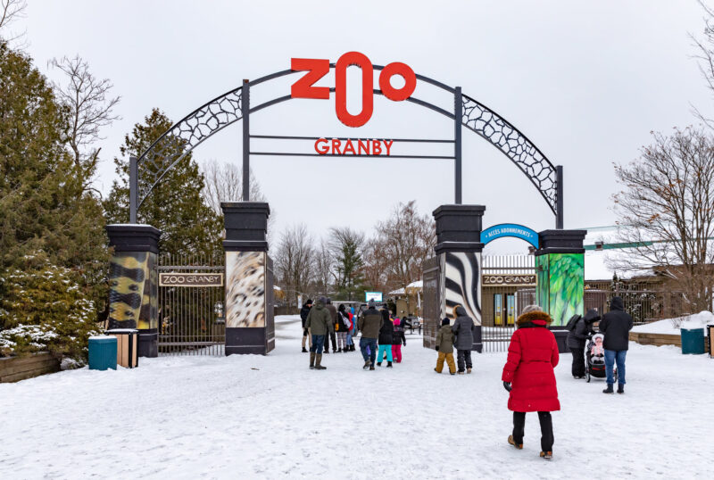 Lock-out au Zoo : une entente entérinée bientôt? - M105 - FM 104,9 ...